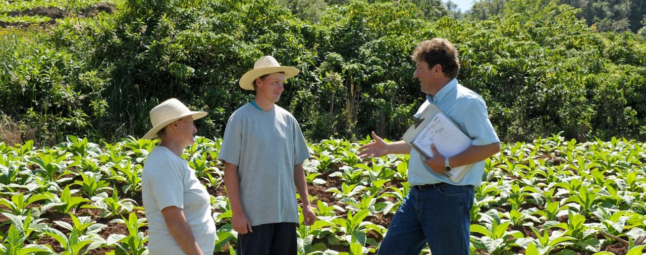 Engenheiro agrônomo: parceiro do produtor - Sinditabaco Engenheiro agrônomo: parceiro do produtor - Sinditabaco